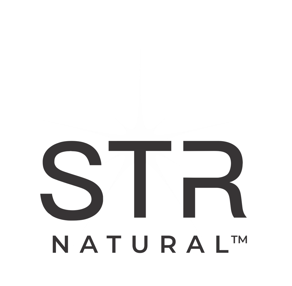 INSTRUCTIONS STR Natural INSTRUCTIONS STR Natural